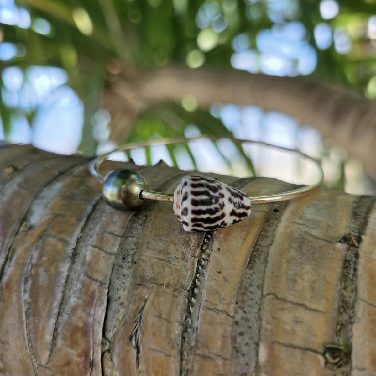 READY TO SHIP Closed Bangle 14k Gold Fill with Civa Fiji Saltwater ...