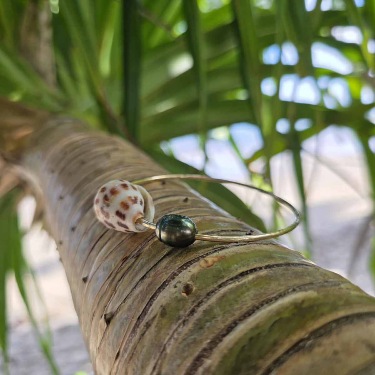 READY TO SHIP Closed Bangle 14k Gold Fill with Civa Fiji Saltwater ...