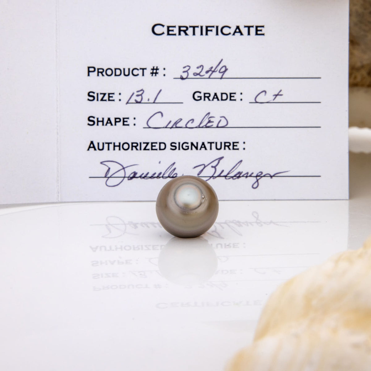 Fiji Loose Saltwater Pearl with Grade Certificate #3249 - FJD$