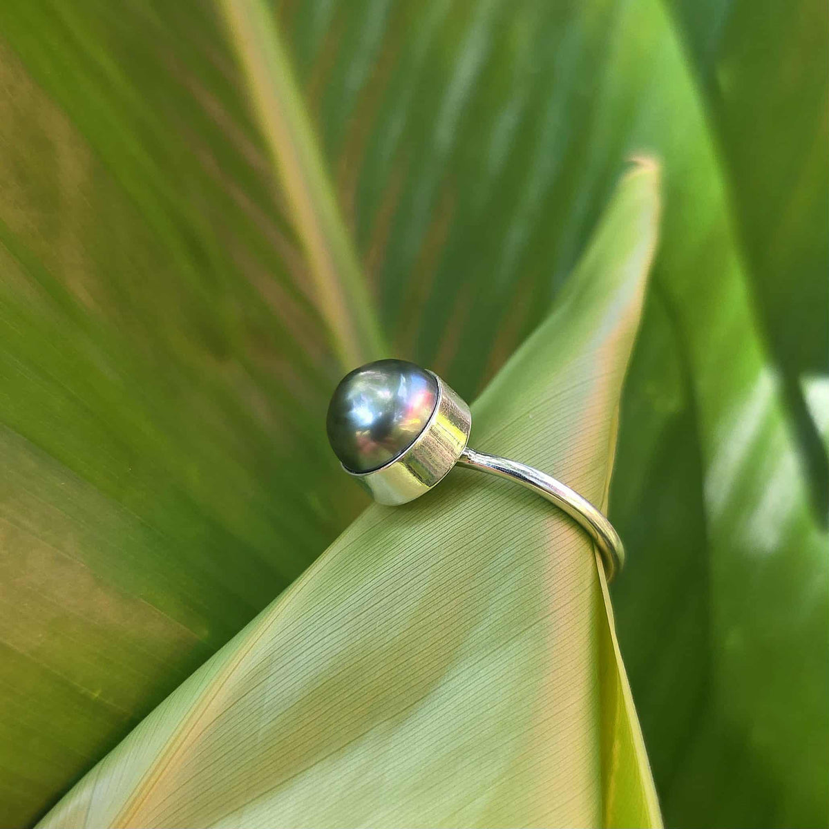 READY TO SHIP Civa Fiji Bezel Set Pearl Ring - 925 Sterling Silver FJD$