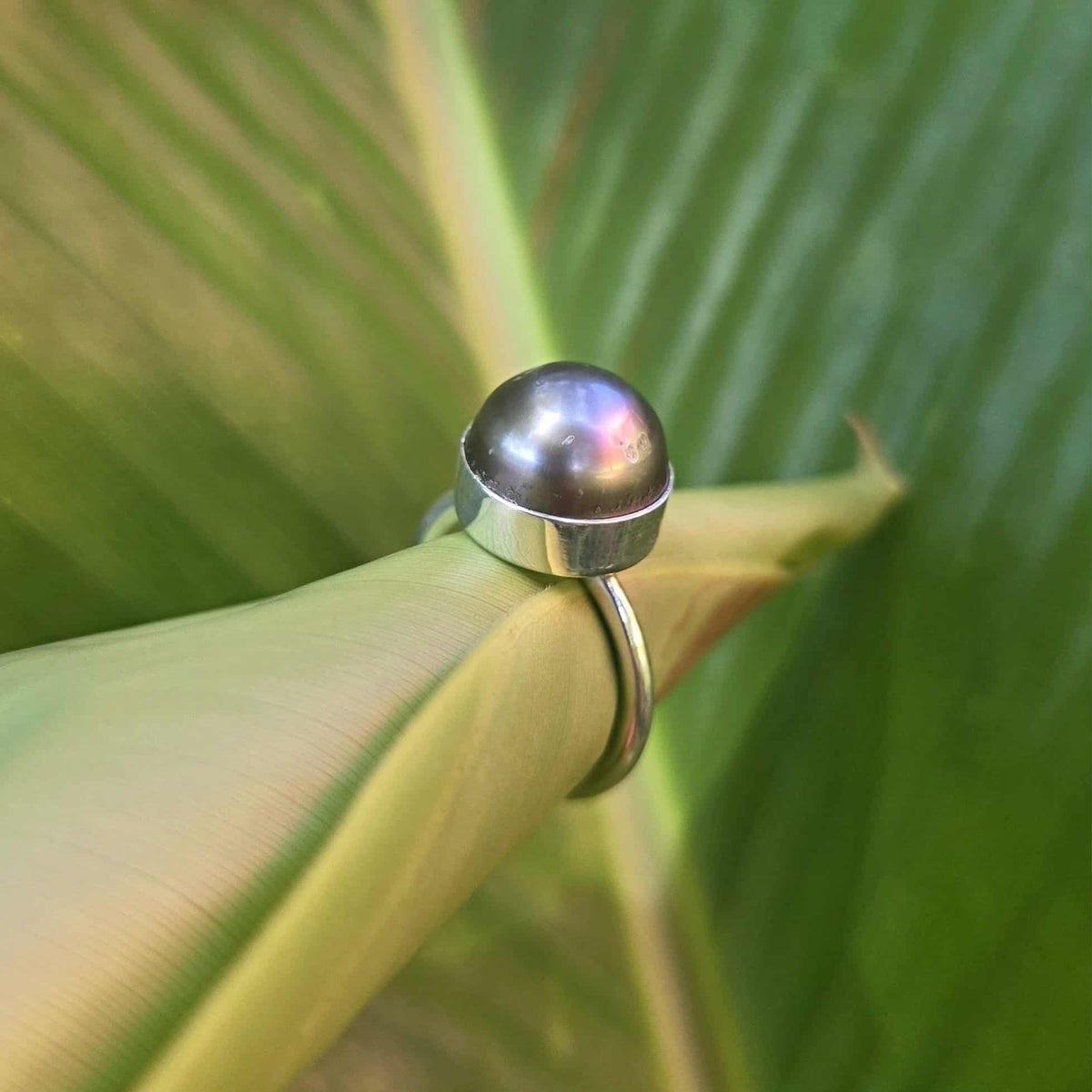 READY TO SHIP Civa Fiji Bezel Set Pearl Ring - 925 Sterling Silver FJD$