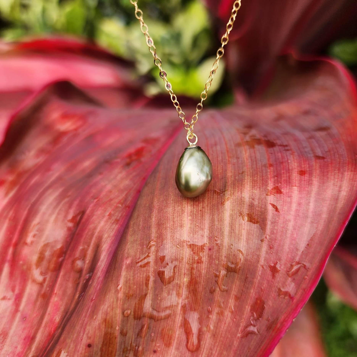 READY TO SHIP Civa Fiji Saltwater Pearl Necklace - 14k Gold Fill FJD$