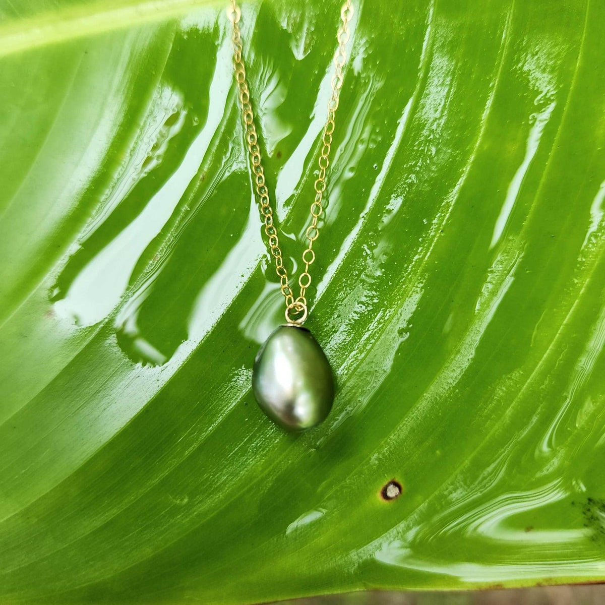 READY TO SHIP Civa Fiji Saltwater Pearl Necklace - 14k Gold Fill FJD$