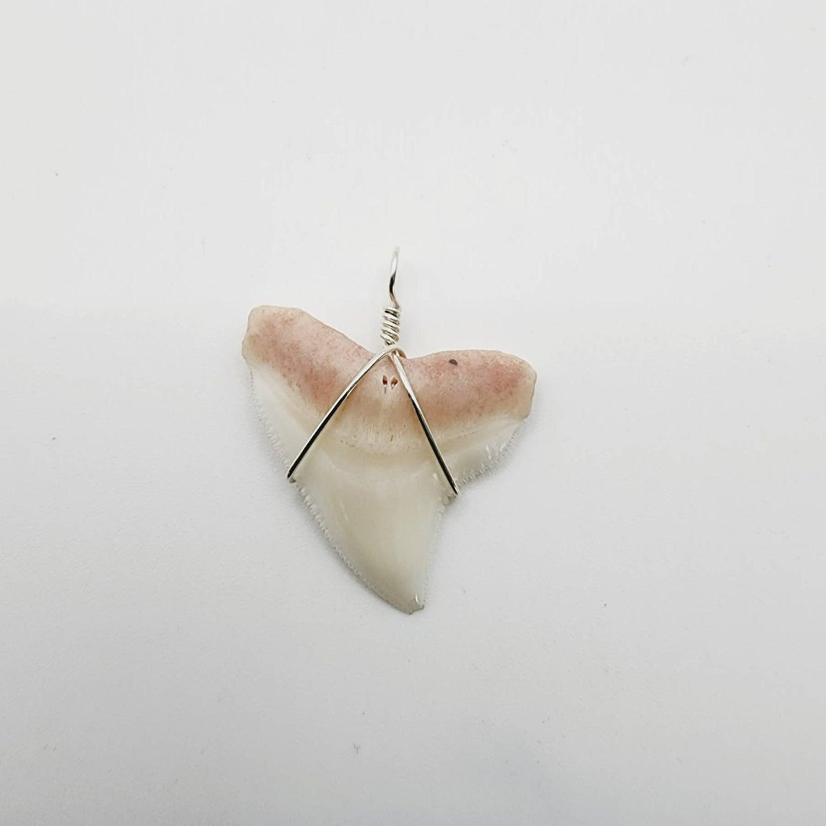 SEND US YOUR TOOTH - Shark Tooth Necklace - Nylon Cord FJD$